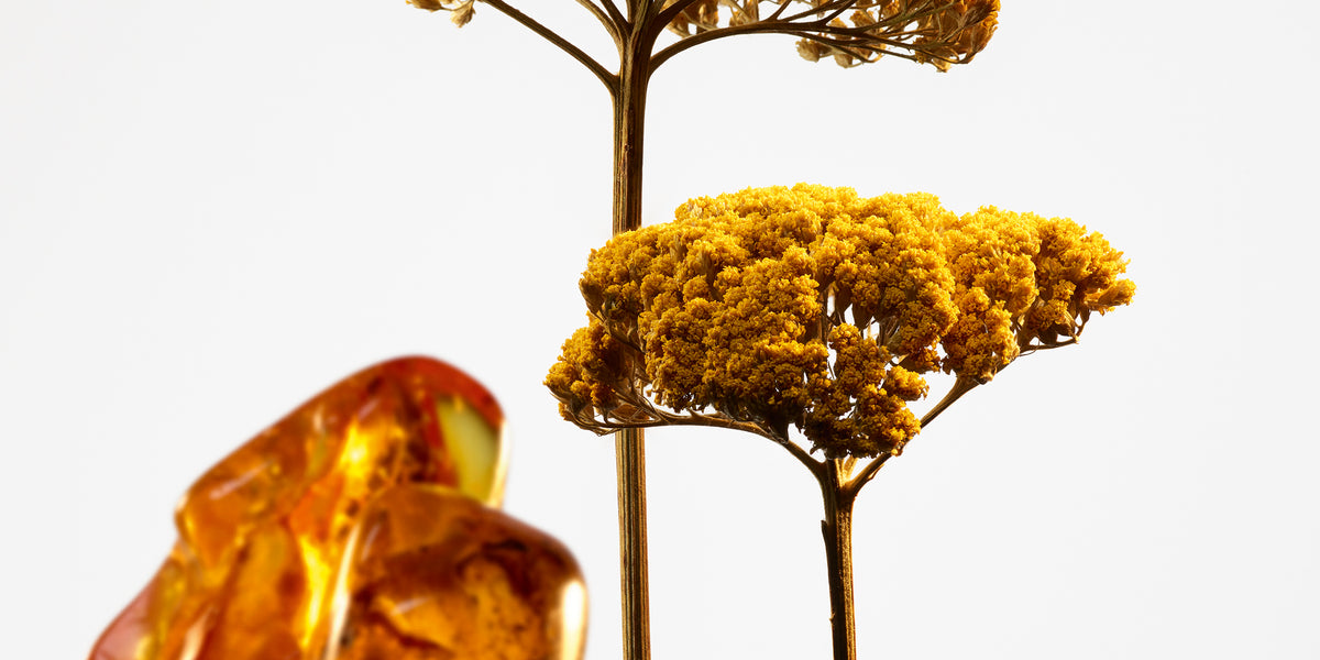 Sables Eau de Parfum - Oriental fragrance | Goutal Paris